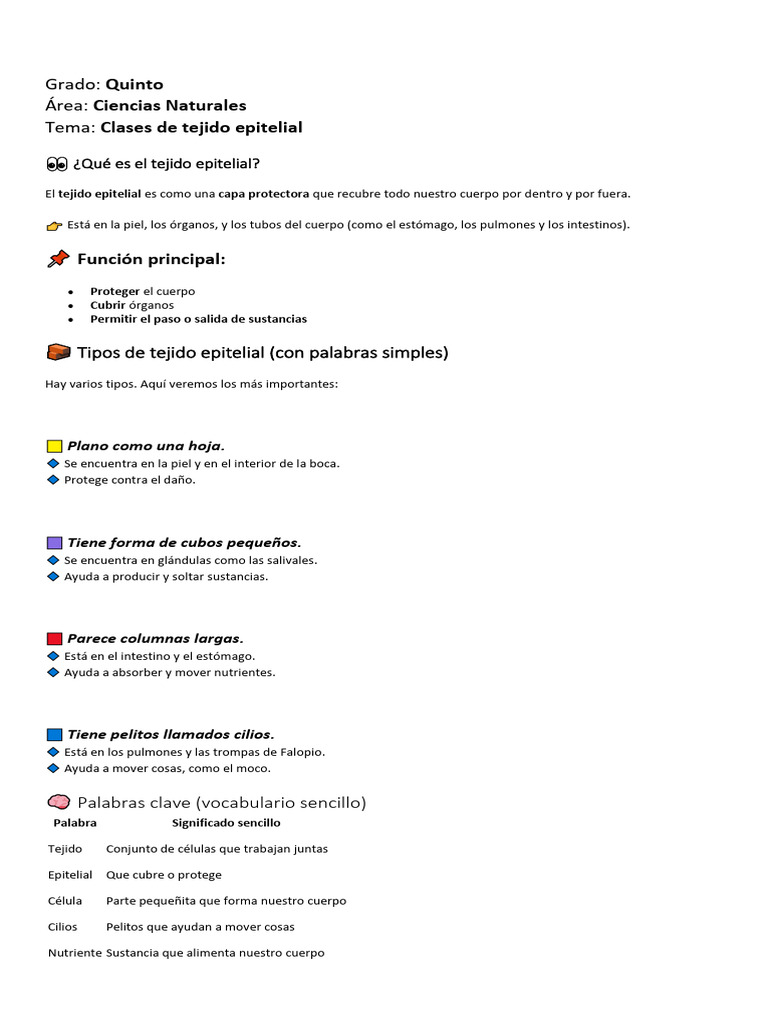Guía Práctica Clases de Tejido Epitelial - Ensuma Quinto | PDF ...