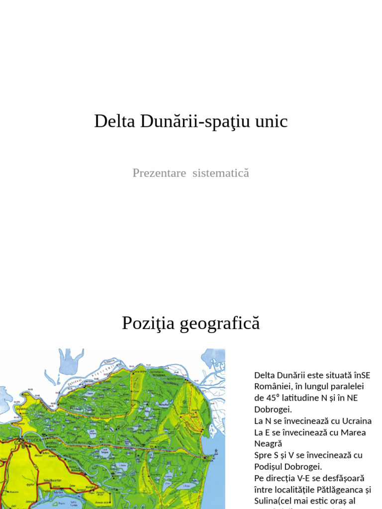Delta Dunariispatiu Unic | PDF
