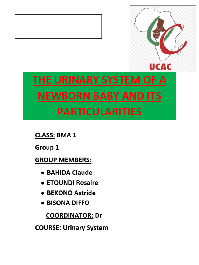 THE URINARY SYSTEM OF A NEWBORN BABY AND ITS PARTICULARITIES Expose ...