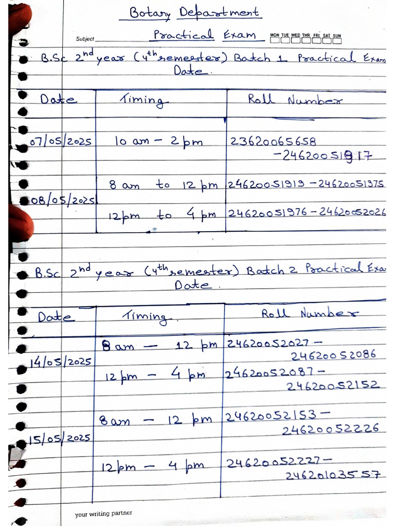 Timing Exam | PDF