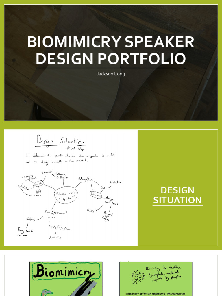 Biomimicry-Inspired Speaker Design | PDF | Lumber