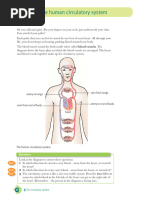 The Integumentary Answer Key | PDF | Integumentary System | Epidermis
