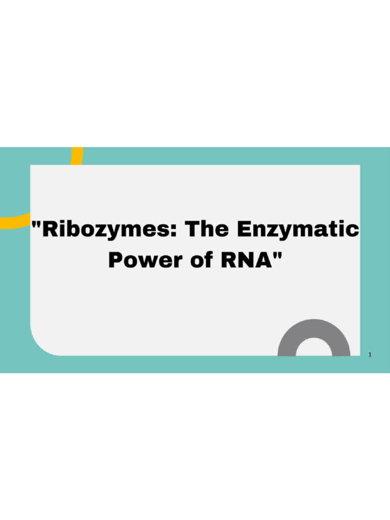 Ribozyme Pdf
