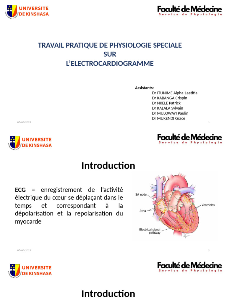 TP Ecg | PDF | Électrocardiographie | Maladies cardiovasculaires