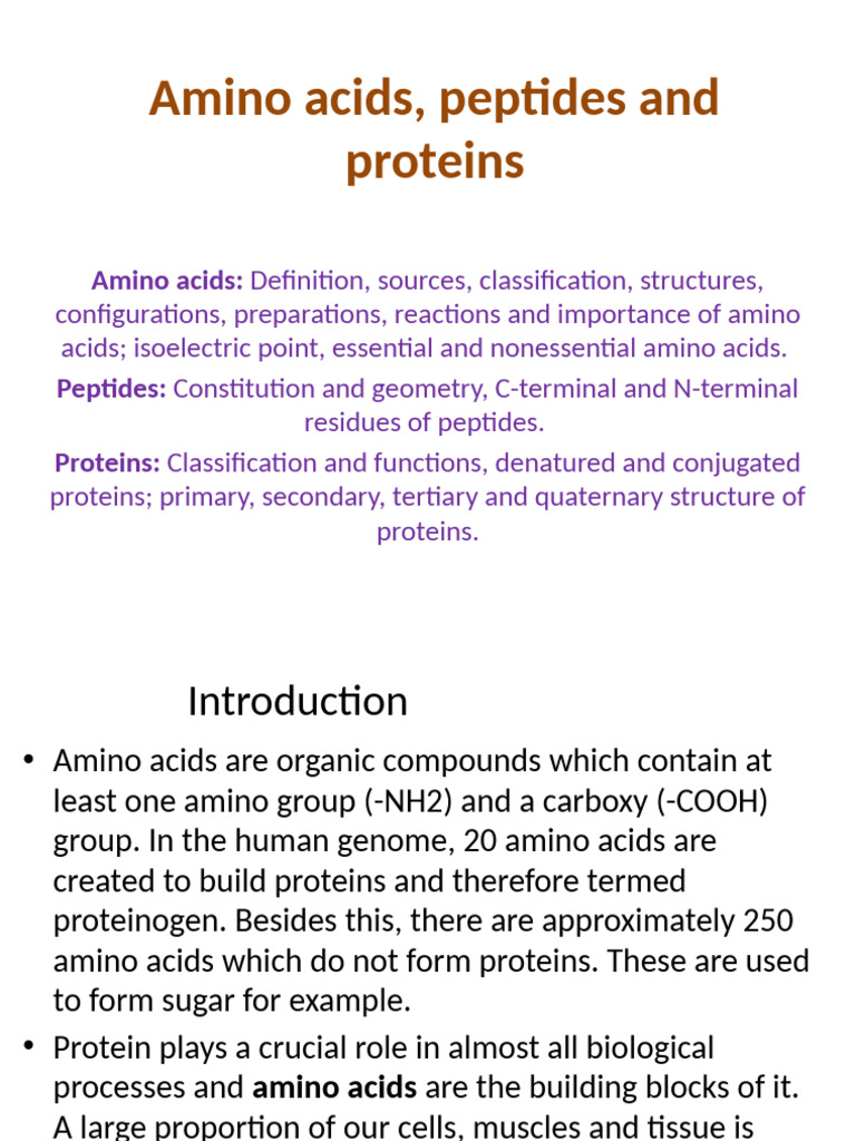 DIU 211 Ch8 Proteins | PDF | Amino Acid | Protein Structure