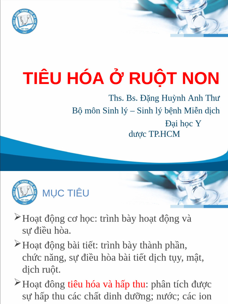 Tiêuhóa Ru T Non | PDF