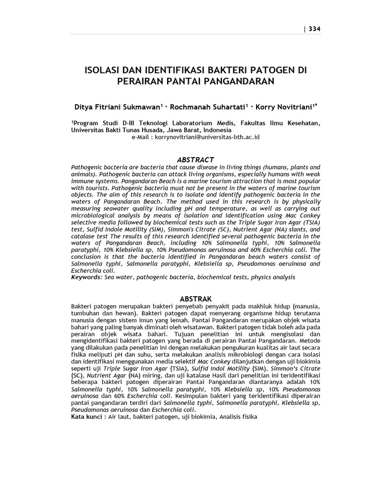 229-File Utama Naskah-1143-1-10-20231208 | PDF