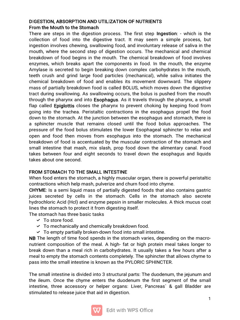DIGESTION., nutrition throughout life cycle | PDF | Digestion | Stomach