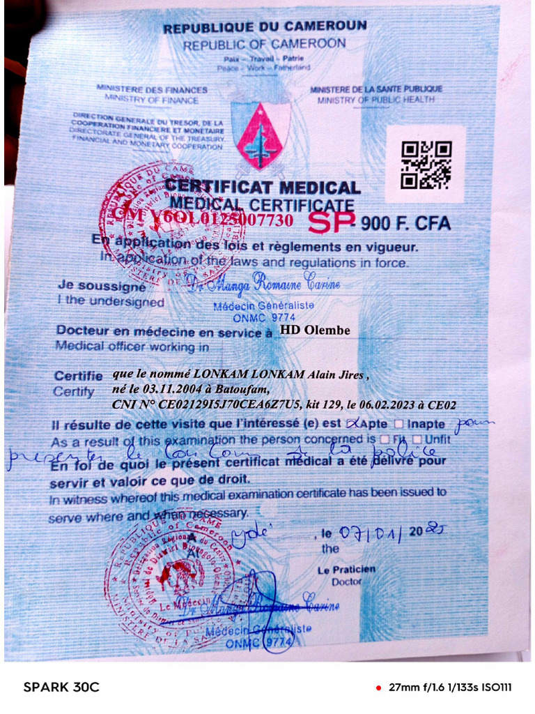 Dossier de La Police 1 | PDF