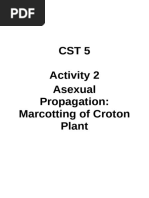 Marcotting: Propagation Guide for Plants | PDF | Horticulture | Botany