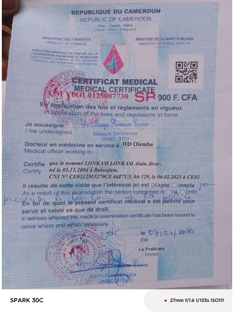 Dossier de La Police | PDF