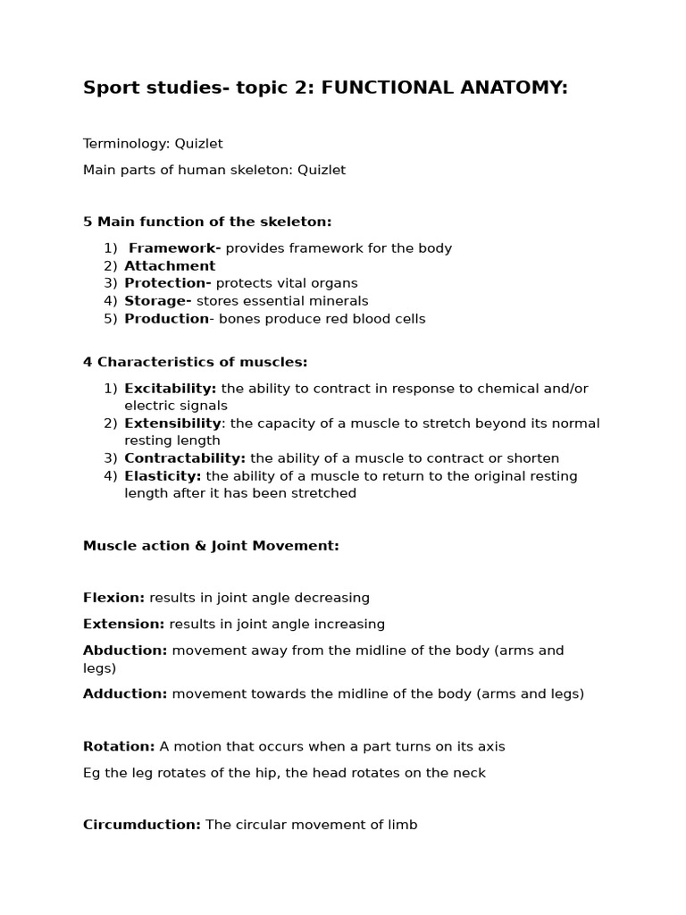 Functional Anatomy | PDF