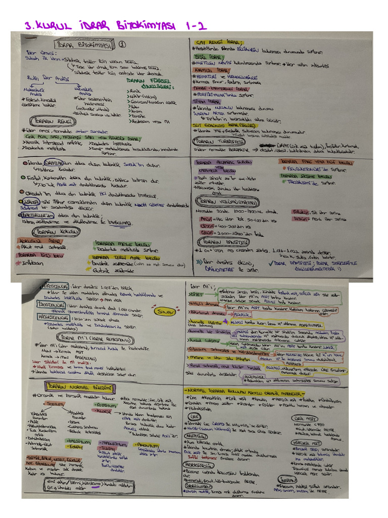 3.kurul Biyokimya İdrar Biyokimyası 1-2 | PDF