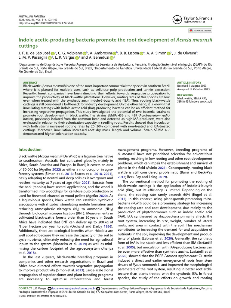 Indole Acetic-Producing Bacteria Promote The Root Development of Acacia ...