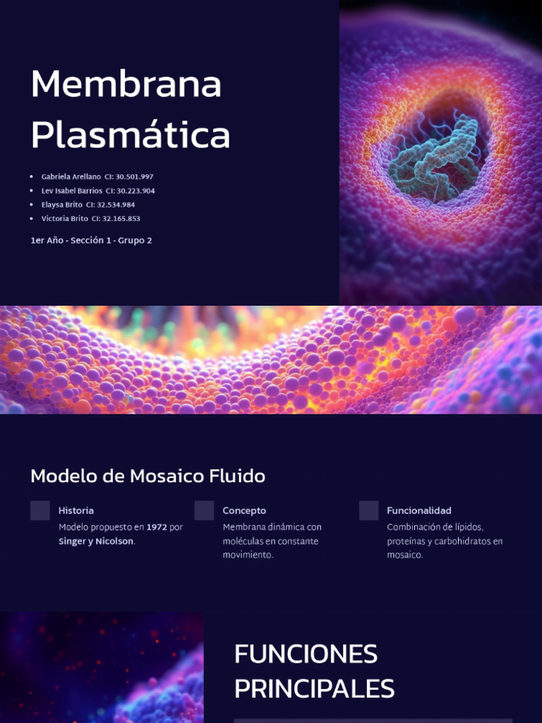 Membrana Plasmática | PDF