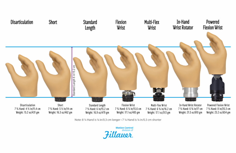 Hand Size Comparison With Metric With PFW 08 01 2019 11 X 17 F | PDF