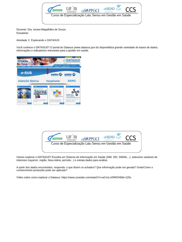 Atividade Avaliativa - Explorando o Datasus | PDF