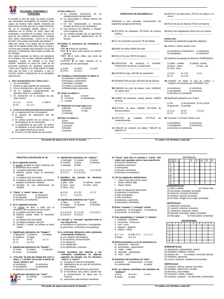 Practica de Sinonimos Antonimos Homonimos Paronimos | PDF