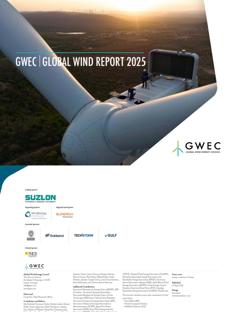 Global Wind Report 2025 Insights | PDF | Wind Power | Interest
