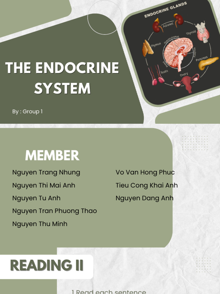 Endocrine System - Group 1 | PDF
