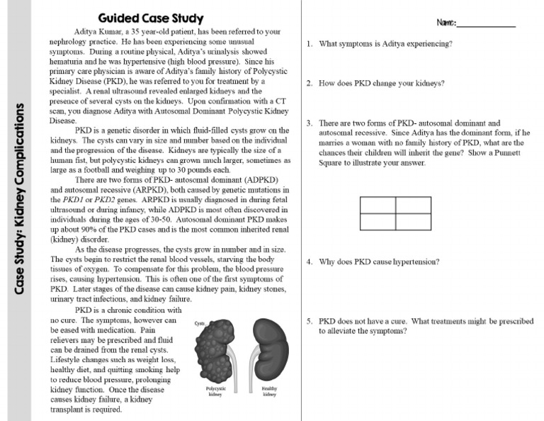 Katlyn Helms - Kidney Disease Case Study - STUDENT Guided | PDF