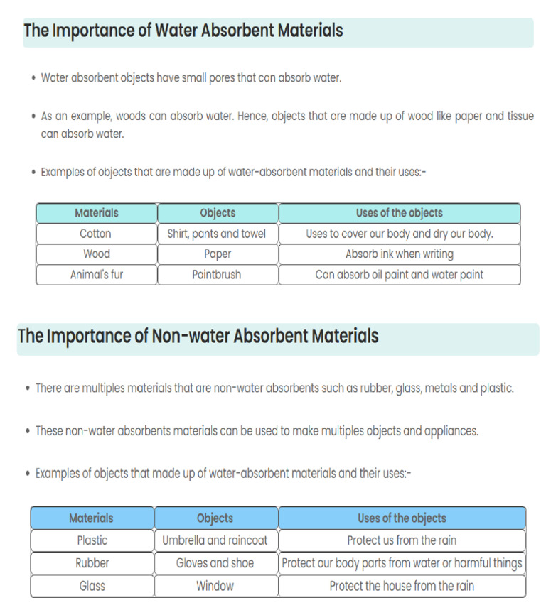 Year 1 Science Notes | PDF