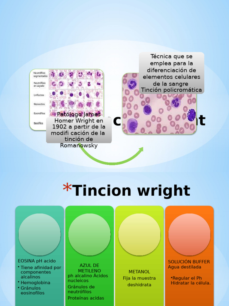 Tincion Wright | PDF