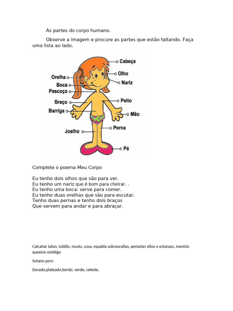 Partes del cuerpo-portugués | PDF