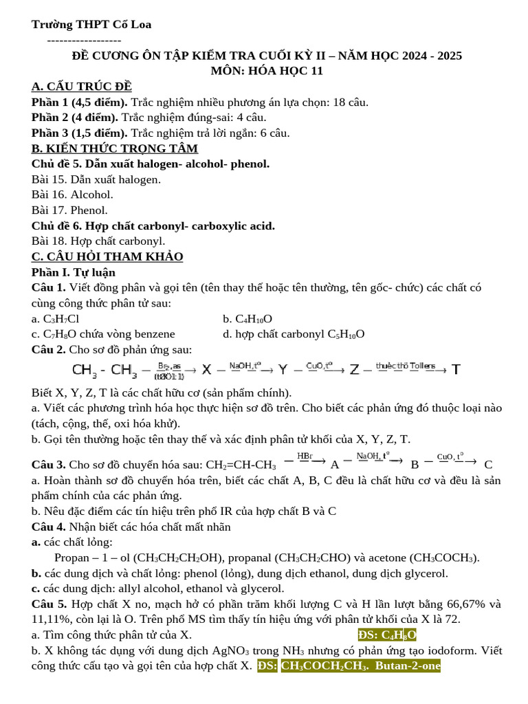 H11.-ĐỀ-CƯƠNG-CK2-24-25-GV | PDF