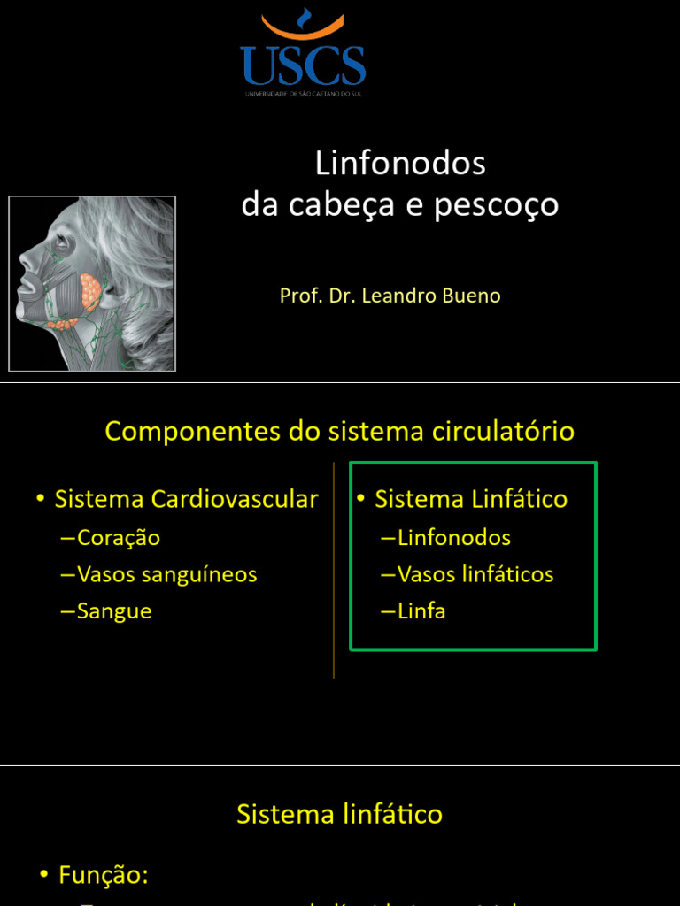 Linfonodos da Cabeça e Pescoço: Guia Completo | PDF