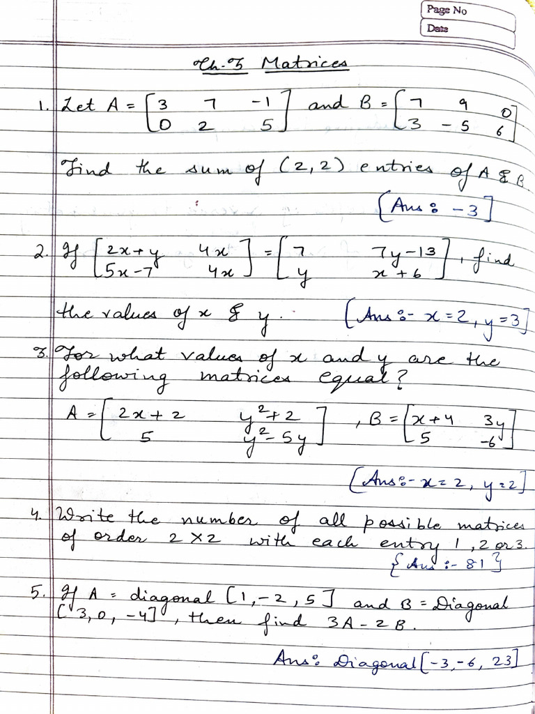 Class XII ch-3 Assignment | PDF