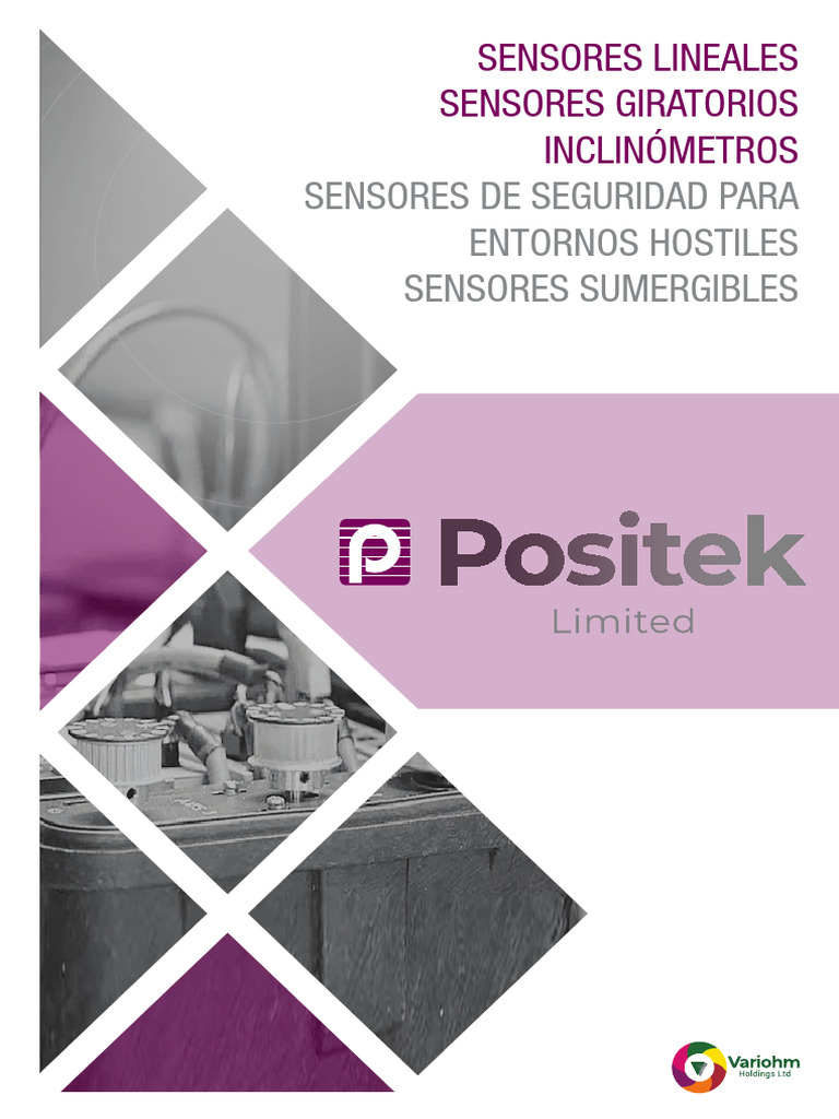 Positek Es | PDF | Sensor | Calidad (comercial)