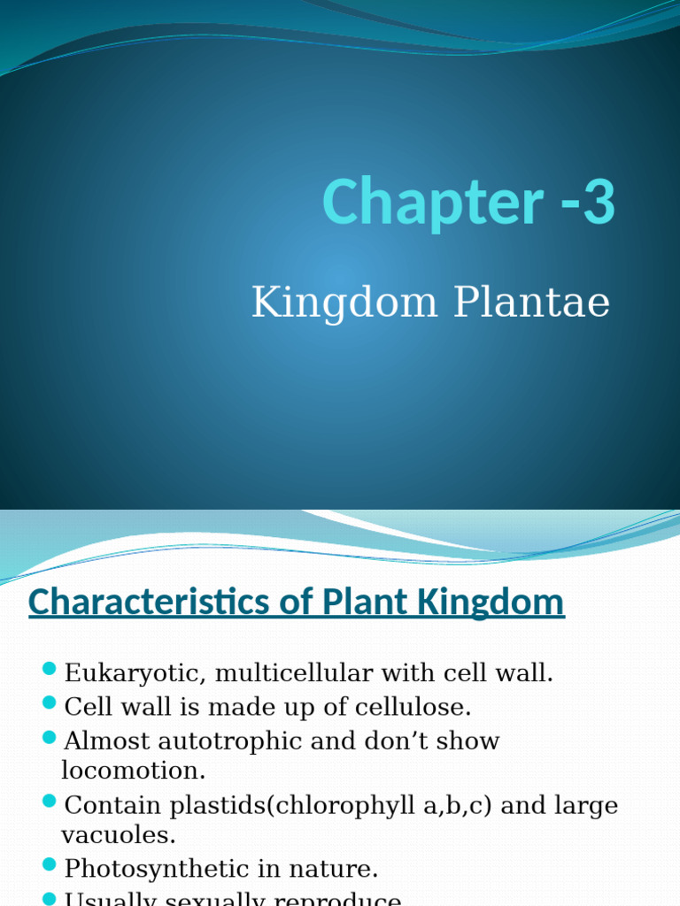 Chapter-3 Plant Kingdom Part-I | PDF | Plants | Biology