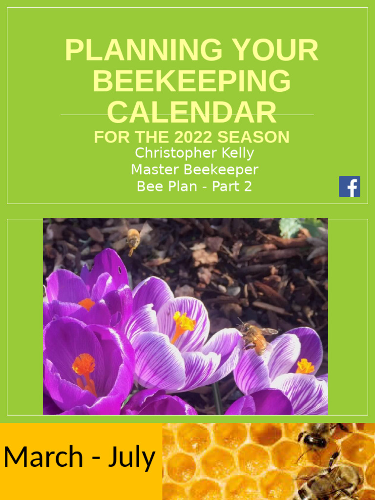 Planning Your Beekeeping Year | PDF | Bees | Beehive