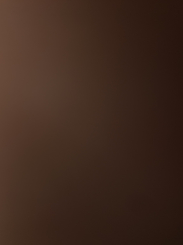 document_F62C6A26-BA8A-4D20-B4AC-566A818AEA07 | PDF