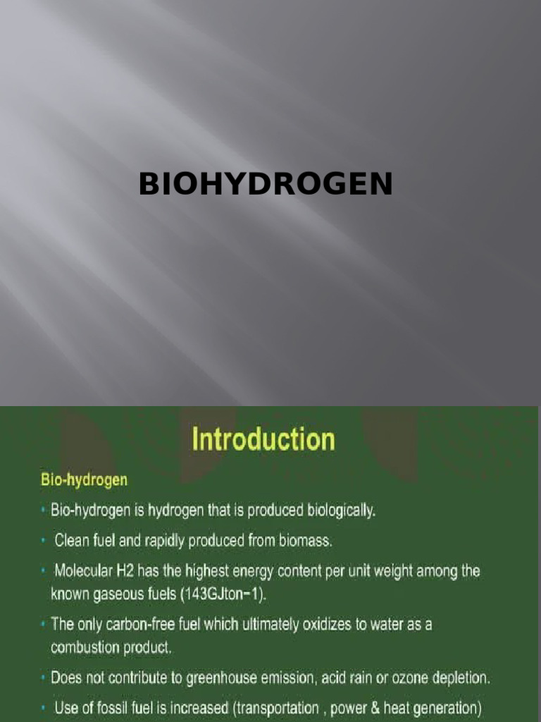 Bio Hydrogen | PDF