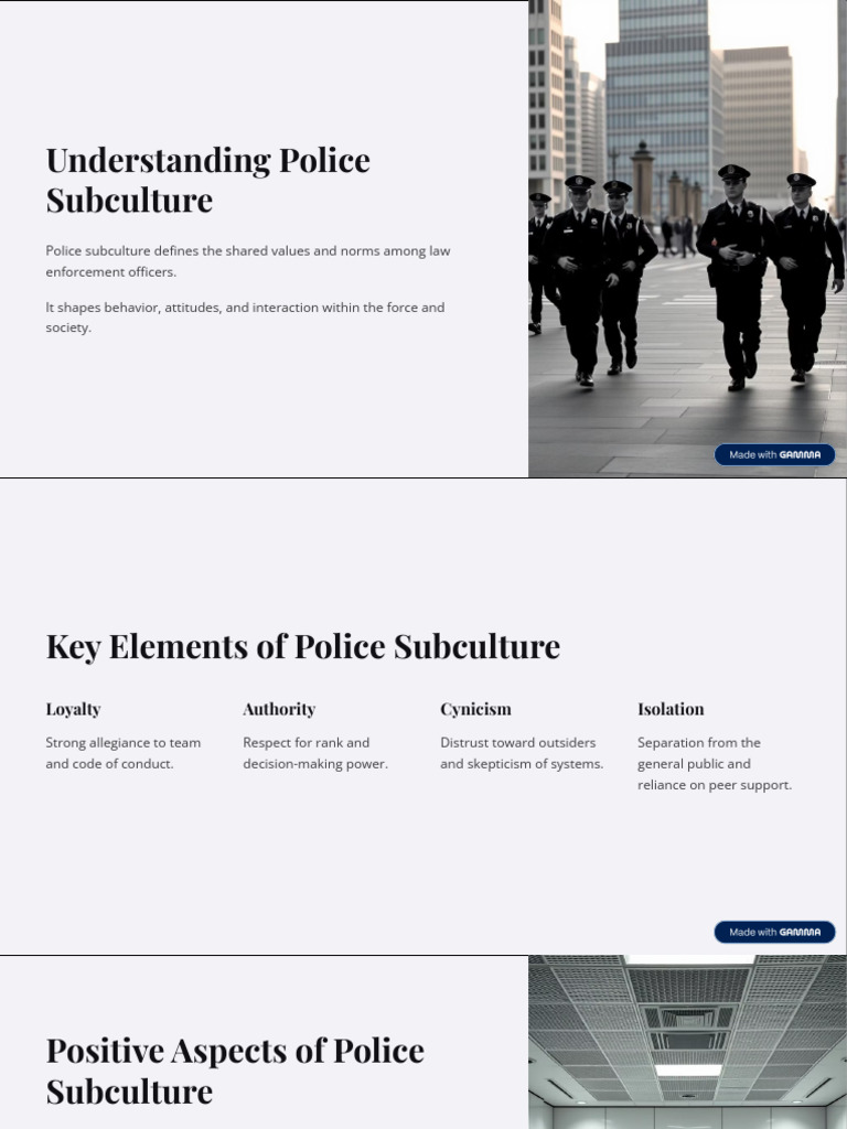 Understanding Police Subculture | PDF