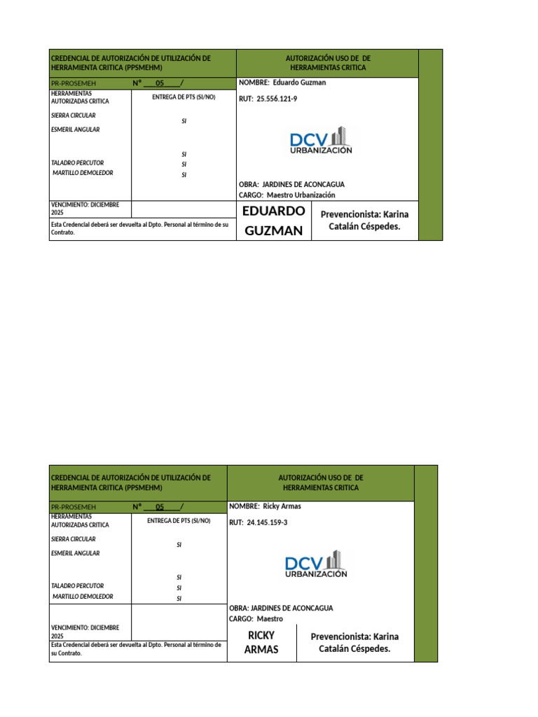Credencial de Autorización de Utilización de Herramienta Critica - DCV - 2025 | PDF ...
