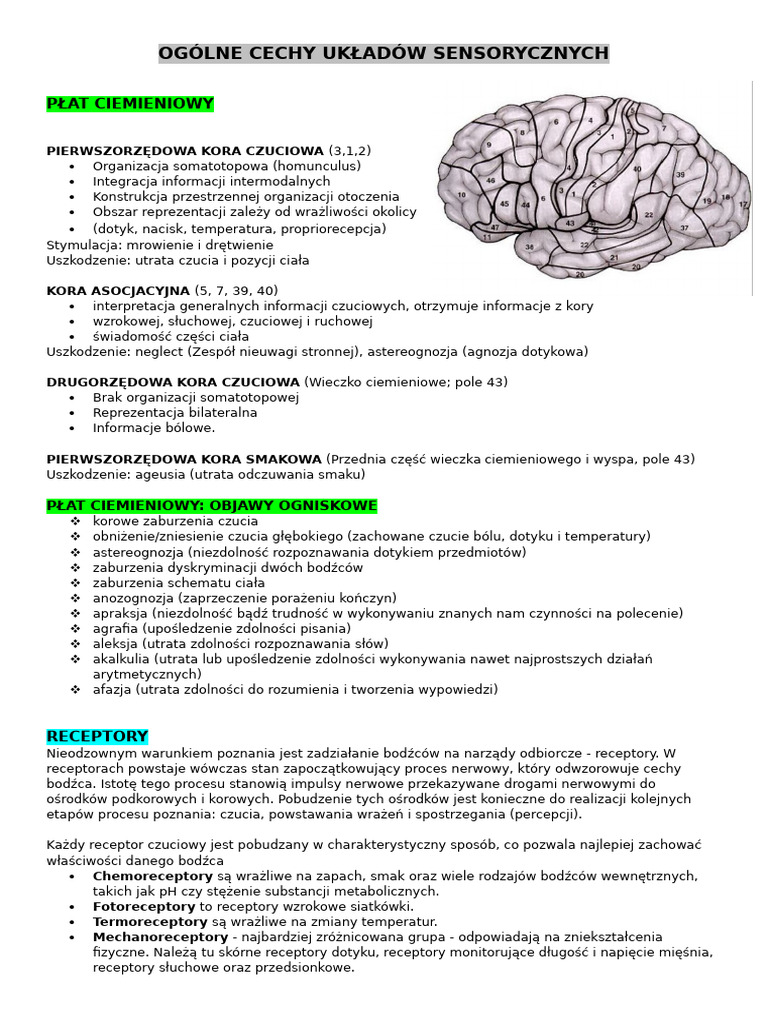 Ogólne Cechy Układów Sensorycznych | PDF