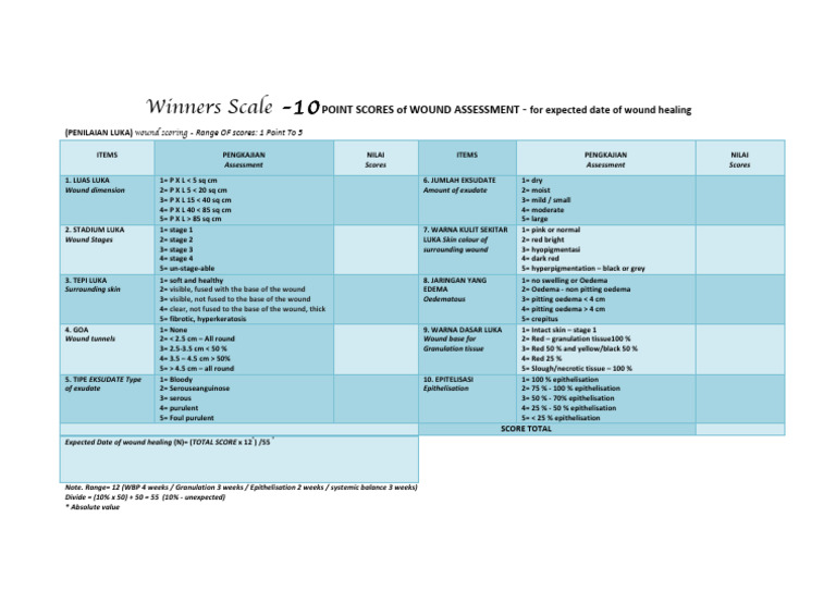 PENILAIAN LUKA - WInners Scale | PDF | Wound | Edema