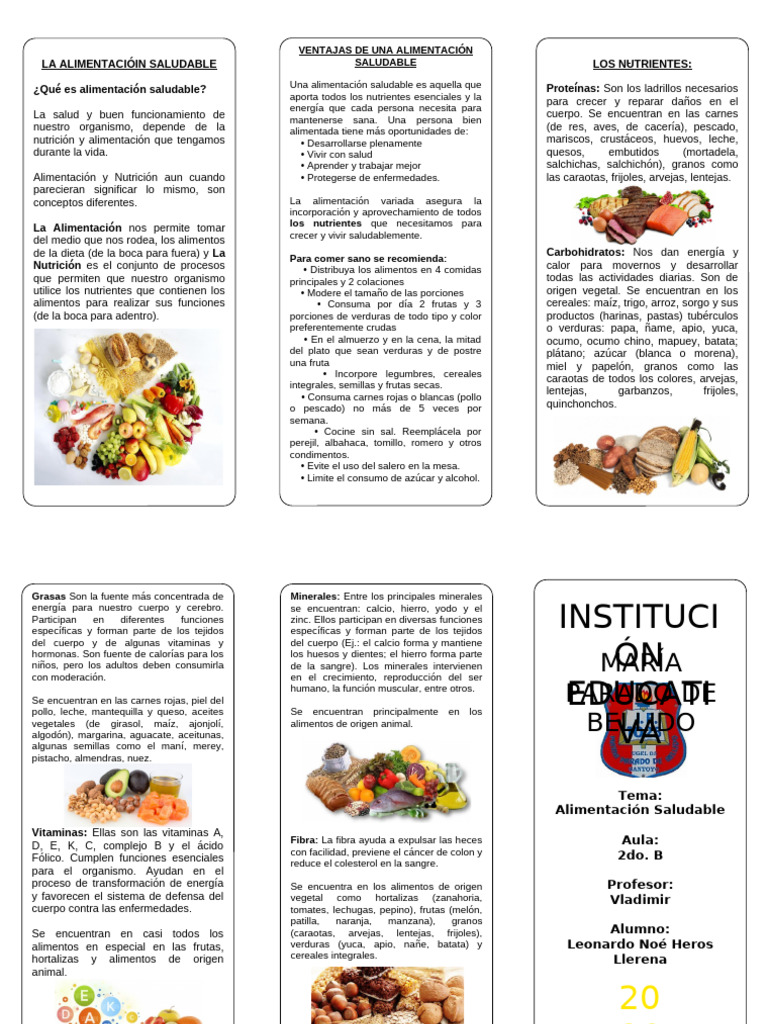 Triptico Alimentacion Saludable | PDF | Alimentos | Nutrición