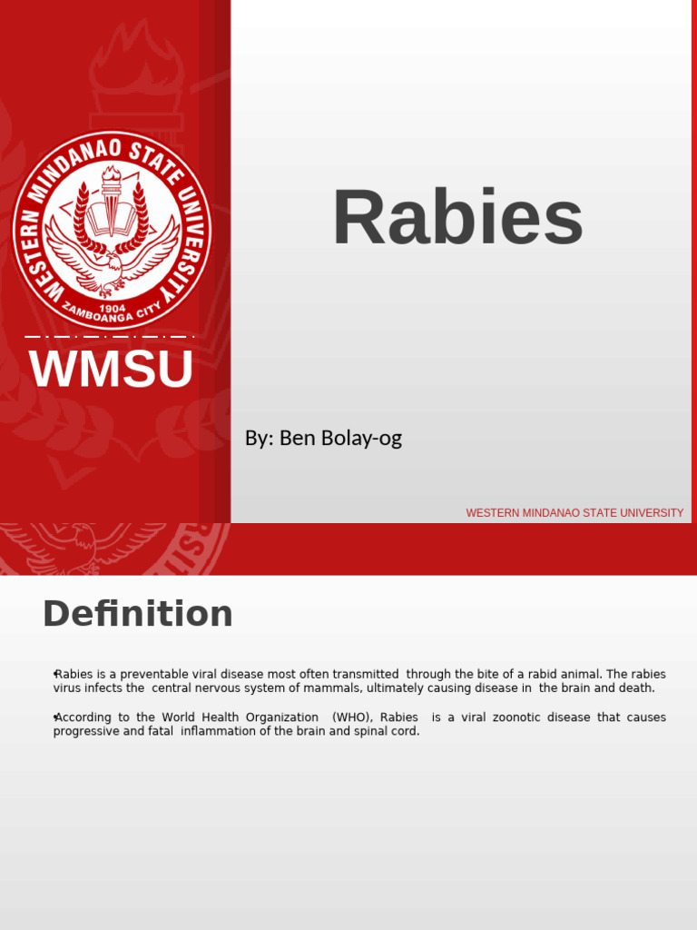 Ben-Rabies-Report | PDF | Rabies | Infection