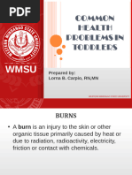 Flamazine® Cream for Burn Care | PDF | Wound | Dermatitis
