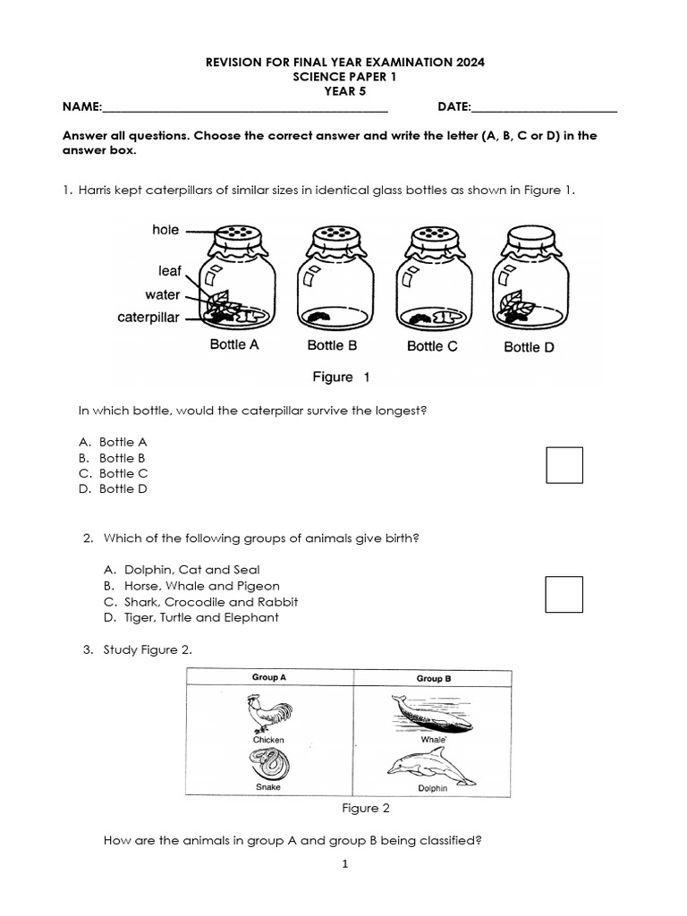Year 5 Science Paper 1 Revision Final Year 2024 | PDF | Force | Fruit