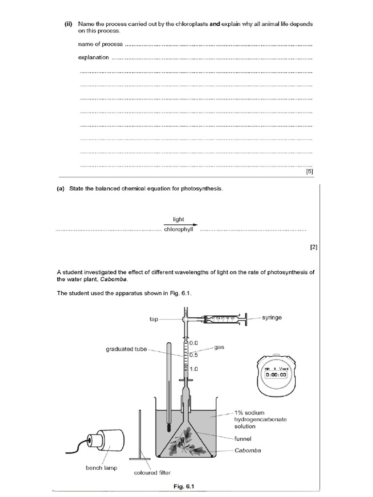 Plant Nutrition Past Paper Questions IGCSE | PDF