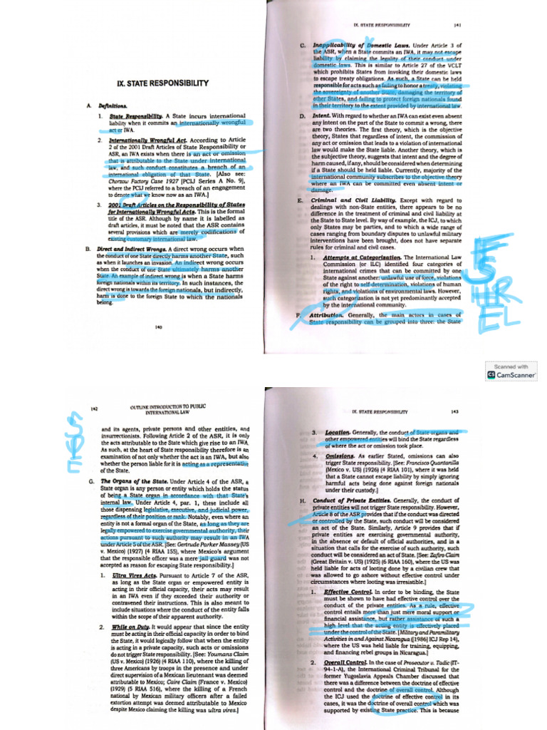 State Responsibility | PDF