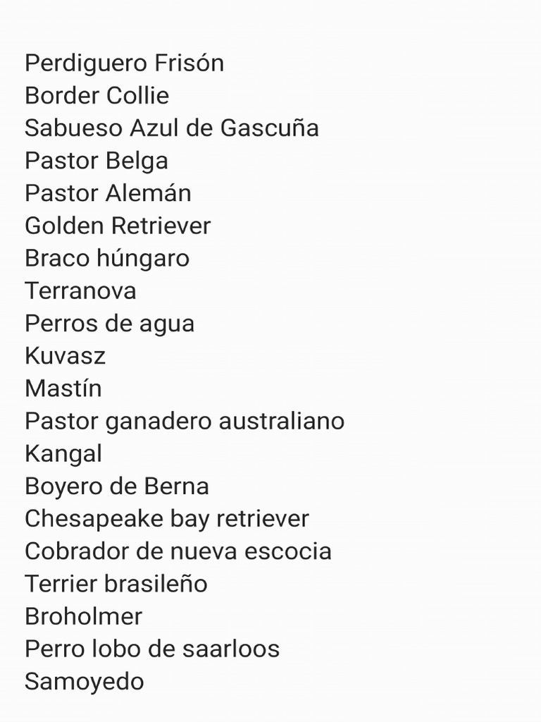 Perros Que Adoptaría - 241027 - 101336 | PDF