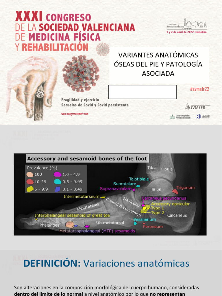 Variantes Anatómicas Óseas Del Pie y Patología Asociada | PDF | Tobillo ...