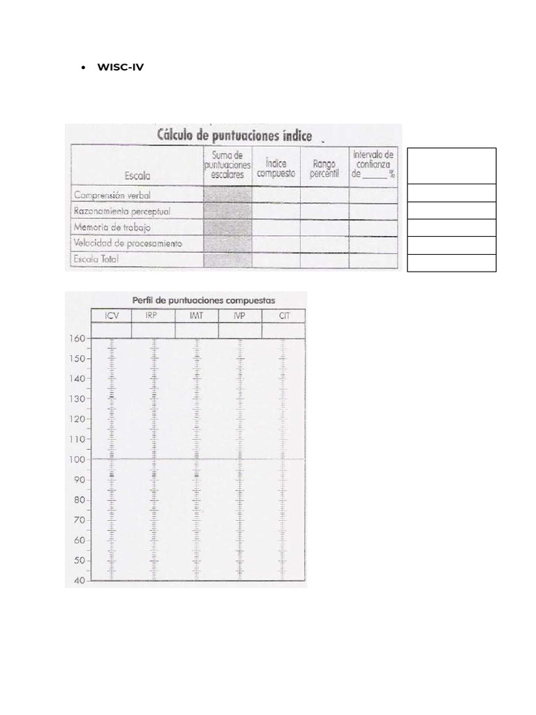 Protocolo Wisc | PDF