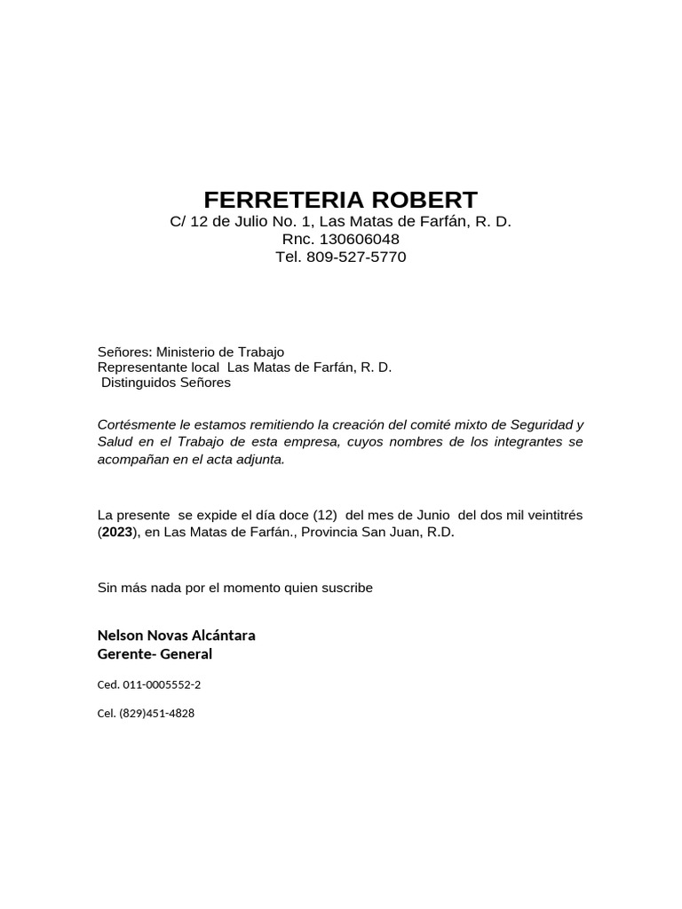Carta Comite Mixto | PDF